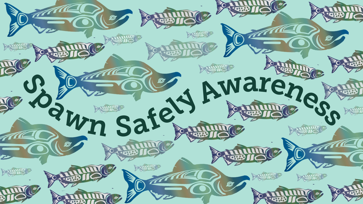 STI Quiz - iknowmine